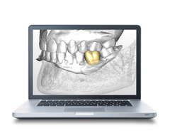 DS Signature Workflows